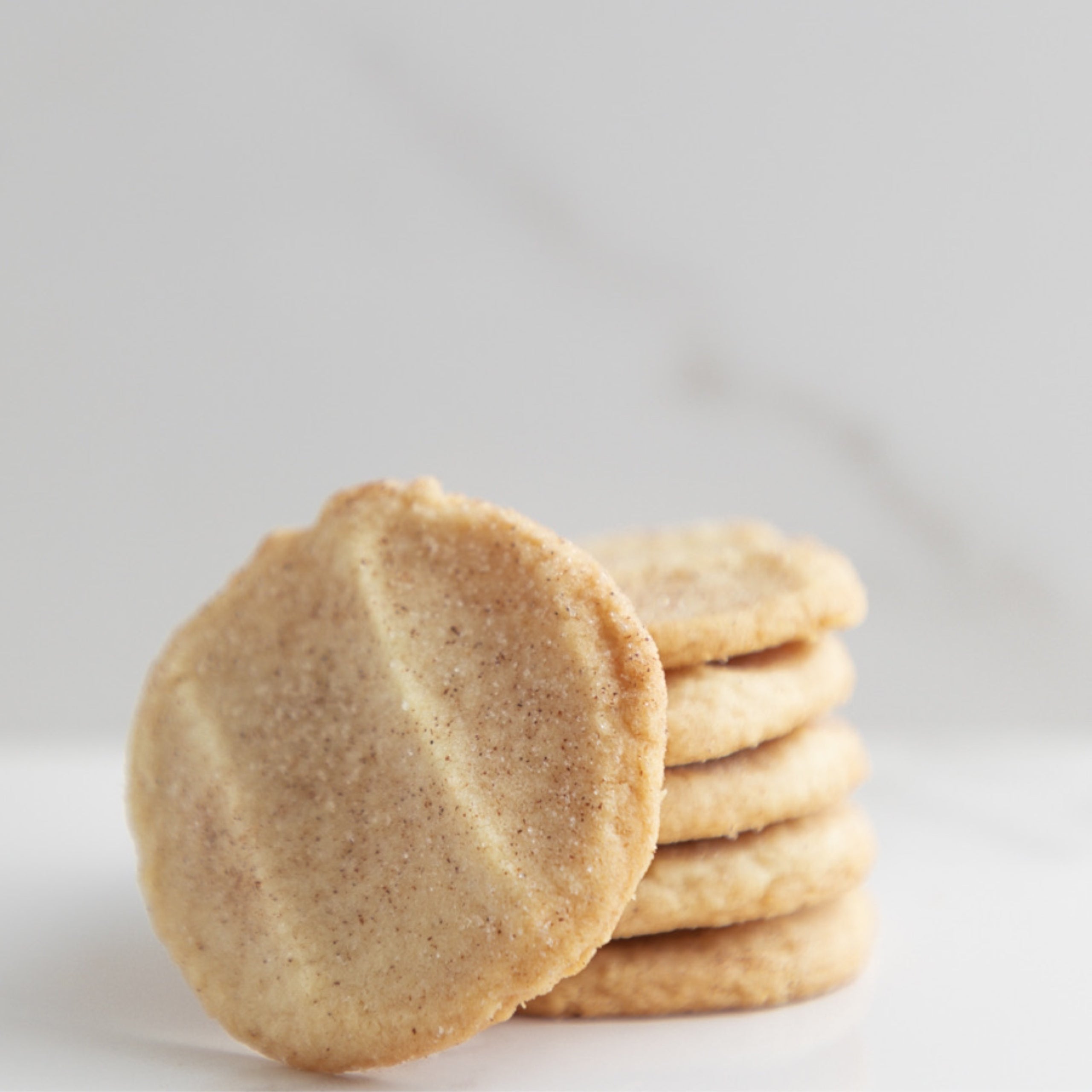 1 Dozen Snickerdoodle Butter Cookie | Donna Faye's Bakery